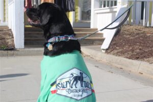 Salty Tails of Love Adoption Day - June | Kitty Hawk Kites